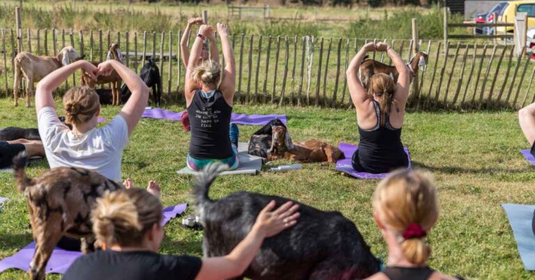 The Science Behind Smiles: The Benefits of Goat Yoga - Hellerick's ...